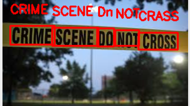 Deep Learning Based OCR for Text in the Wild