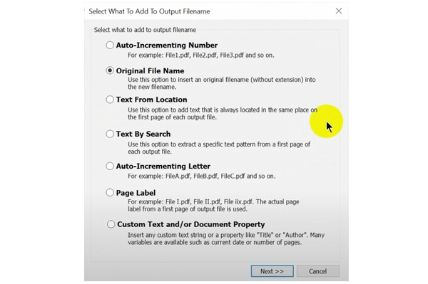 How to Rename PDF Files Based on Content